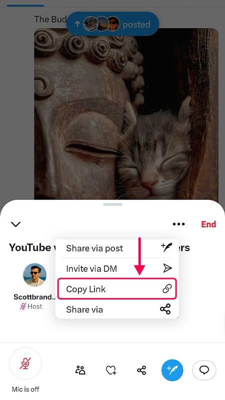 Step-by-Step Guide to Get Your X Space URL