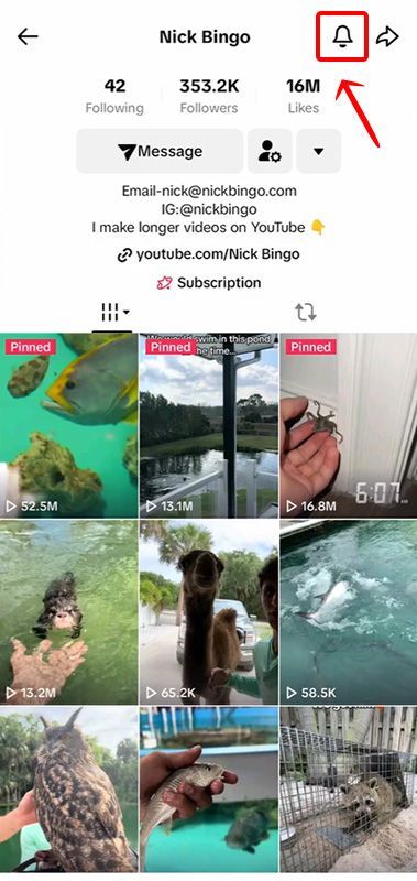 What Does Nudge Mean on TikTok?